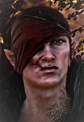 Tolkien Setting ideas - an Avari Elf - Iorweth's Blog | RolePlayer